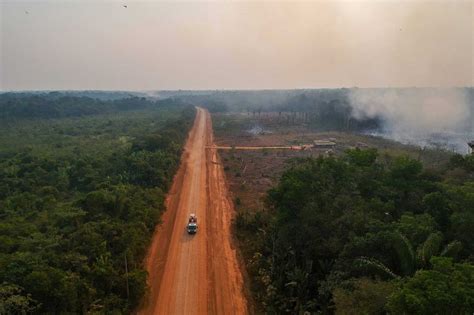 La déforestation en Amazonie brésilienne a atteint son plus haut niveau