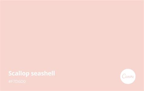 Scallop Seashell Meaning Combinations And Hex Code Canva Colors
