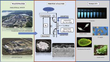 A Critical Review On Application Of Photocatalysis For Toxicity