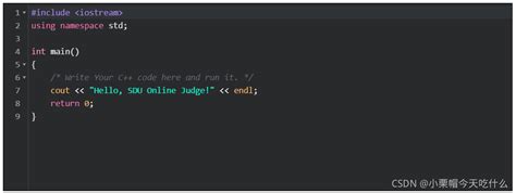【sduoj】代码编辑器的使用 codemirror mode csdn博客