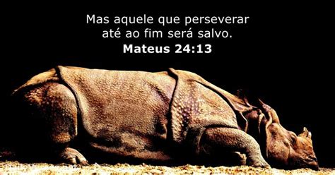43 Versículos da Bíblia sobre Fim DailyVerses net