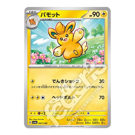 067 190 Pawmo Comune JP MINT Federicstore