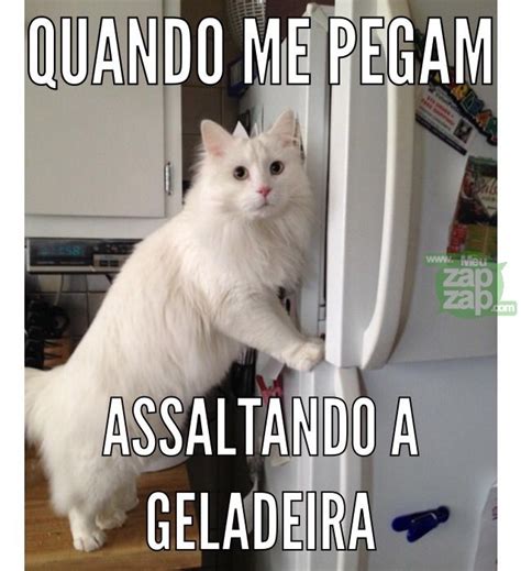 Fotos Engra Adas De Animais Para Whatsapp As Figurinhas Personalizadas