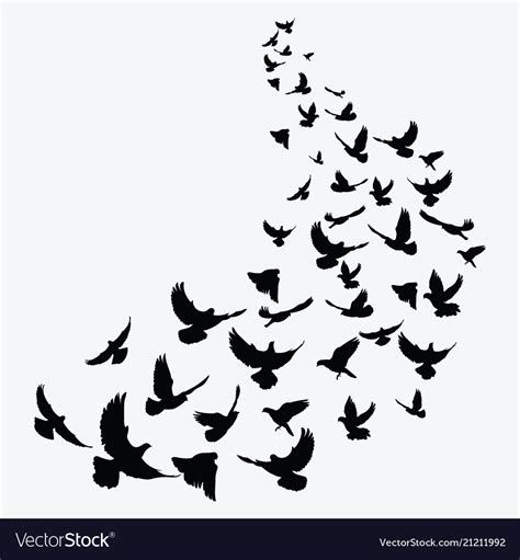 Silhouette Of A Flock Of Birds Black Contours Vector Image