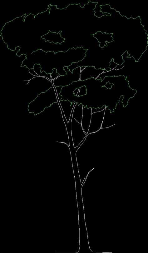 Trees Dwg Block For Autocad Designs Cad