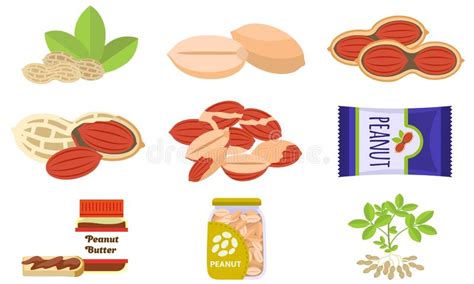 Sistema De Los Iconos Del Cacahuete Estilo Plano Ilustración del