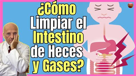 CÓMO LIMPIAR EL INTESTINO DE HECES Y GASES NATURALMENTE YouTube