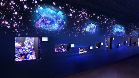 Sakura Aquarium By Naked Things To Do In Tokyo
