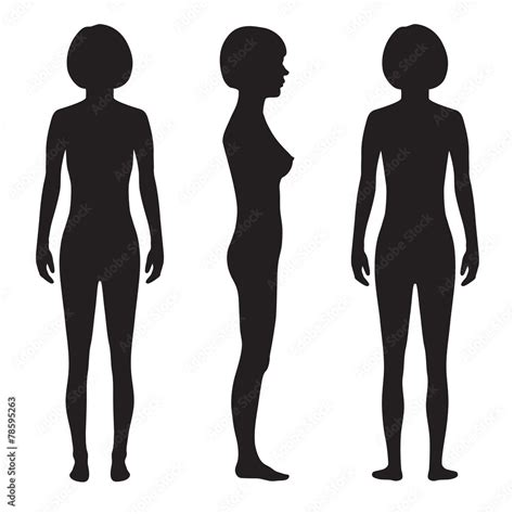 Human Body Anatomy Front Back Side Vector Woman Silhouette Vector De