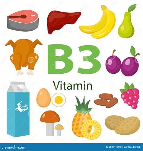 Vitamins And Minerals Foods Vector Set Of Vitamin Rich Foods Stock