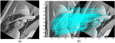 algorithms free full text rst resilient watermarking scheme based on dwt svd and scale