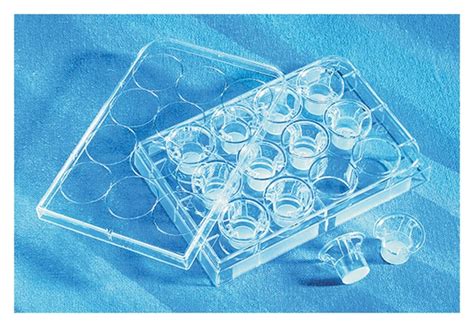 Corning Costar Transwell Permeable Supports Zellunterteilungen