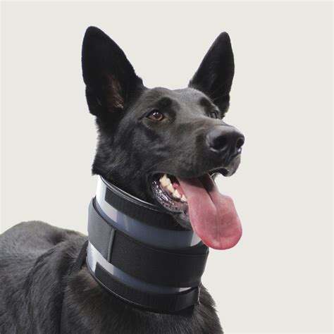 Collier cervical vétérinaire pour chiens Bite Free KVP EU Ltd