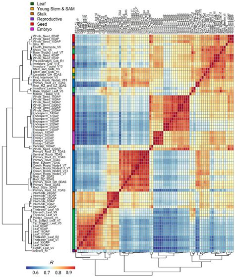 Global Gene Expression Patterns Reflect Biological Relatedness Among