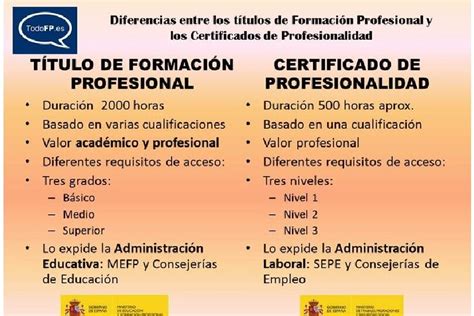 Cuánto cobra un profesor de certificados de profesionalidad en 2024