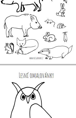 Lesní omalovánky pdf Nesladkář