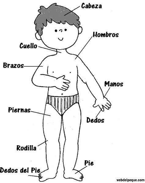 EL CUERPO HUMANO rompecabezas en línea