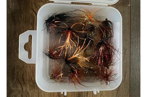KINETIC FISKECUP 2022 LAKS TIL KYSTFISKER Fisk Fri