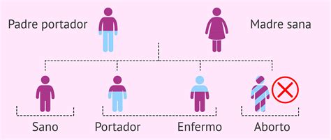 Principales Causas Del Aborto Recurrente