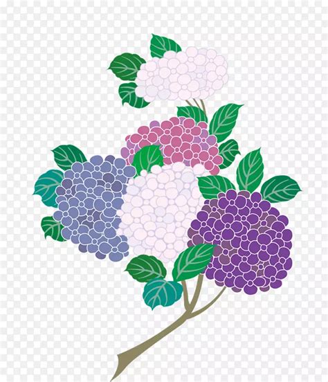 Png Png