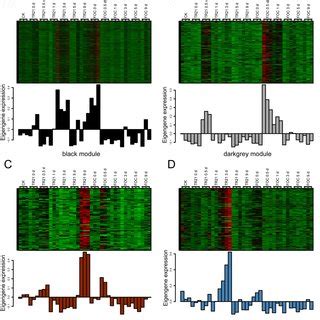 Gene Expression Patterns For The Modules Obtained By WGCNA A D