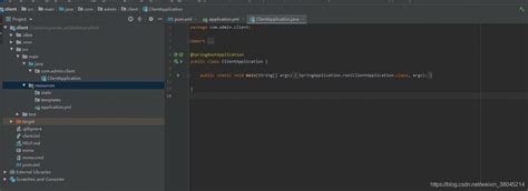 springboot集成springbootadmin spring boot admin starter client actuator csdn博客
