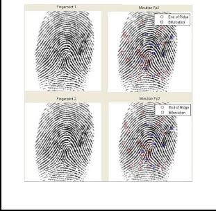 Matlab Fingerprint Recogition Code File Exchange Matlab Central