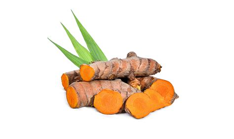 China Drotrong Supply Curcuma Longa Jiang Huang Turmeric Factory And