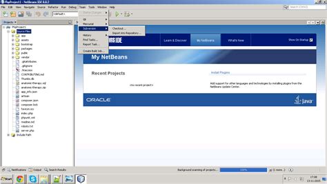 SVN Locked In Netbeans Stack Overflow