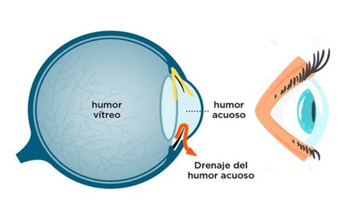 Presión ocular qué es y cómo se mide salauno