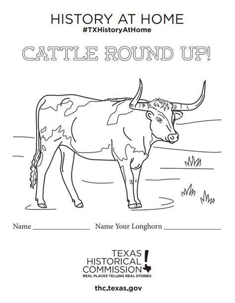 Longhorn Coloring Page