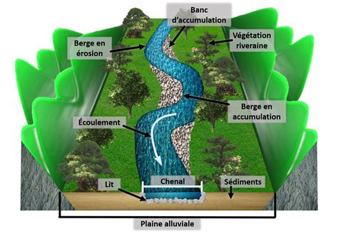 Flash Inf Eau La Dynamique Des Cours D Eau Conseil De L Eau Du Nord