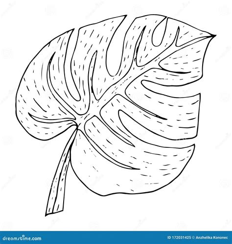 Printable Monstera Leaf Outline Printable Calendars AT A GLANCE