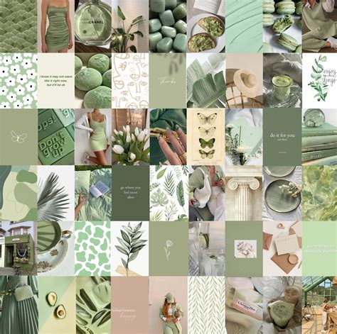 Discover 73 Sage Green Wallpaper Collage In Cdgdbentre