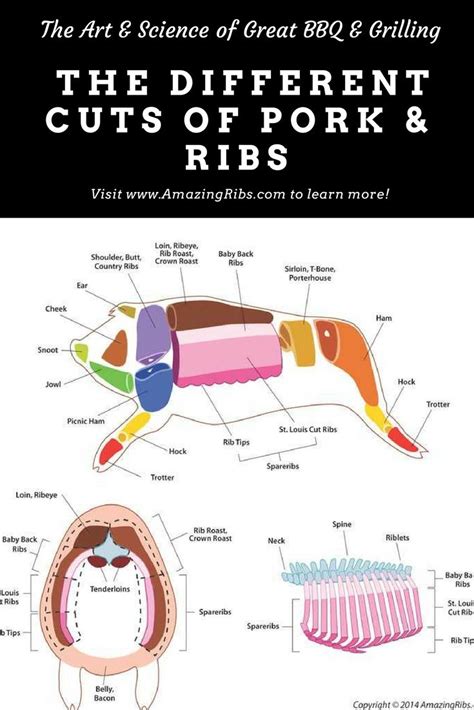 Amazing Ribs Pulled Pork Golda Recipes