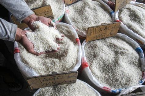 Klaim Harga Beras Sudah Turun Jokowi Coba Cek Di Pasar