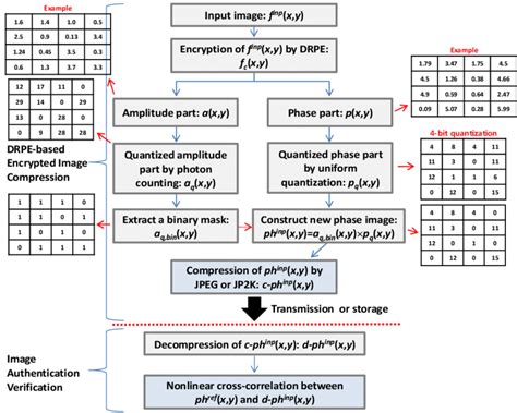 the conceptual scheme of the proposed method the method is composed of download scientific