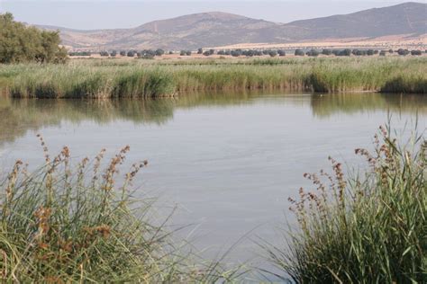 Sequía Ecologistas denuncian la sobreexplotación de los acuíferos en