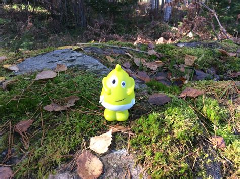 Pedagogisk Planering I Skolbanken Dadda I Skogen