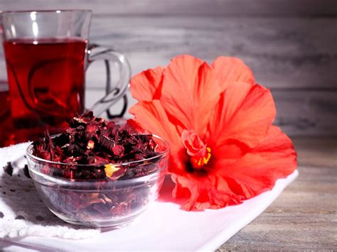 13 Benefícios do Chá de Hibisco Para que Serve e Características