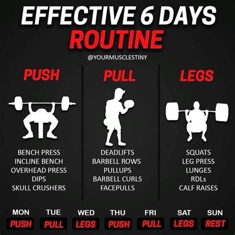 Push Pull Legs Weight Training Workout Schedule For 7 Days Artofit