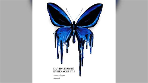 SICARIO Lyrics None Of It La Vida Insiste En Renacer Pt 1 YouTube