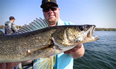 Jig Minnow Walleye Masterclass Spring Jig Tips Northland Fishing