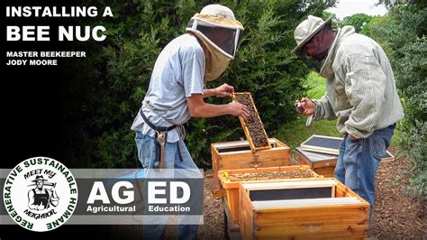How To Install A Bee NUC Nucleus Colony With Master Beekeeper Jody