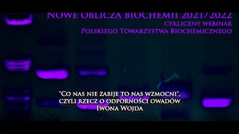 Co Nas Nie Zabije To Nas Wzmocni Czyli Rzecz O Odporno Ci Owad W