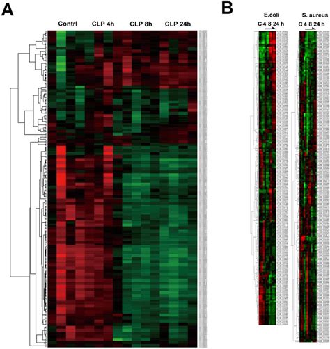 Hierarchical Cluster Analysis Clustering Of Differentially Expressed