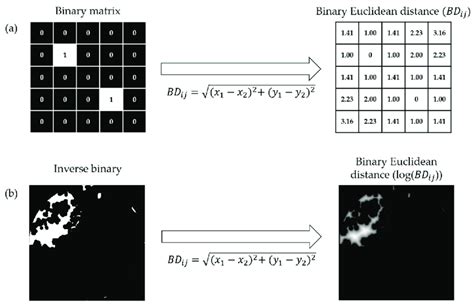 noise removal by calculating binary euclidean distance a euclidean download scientific