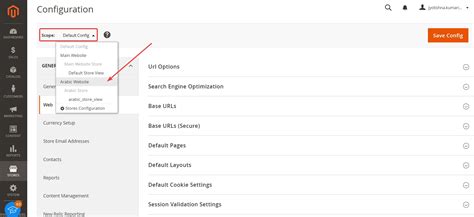 Magento 2 Multistore Configuration Easy Step By Step Guide