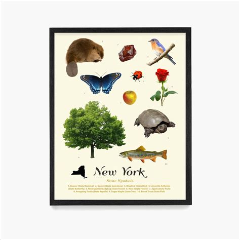 New York State Symbols Poster New York Wall Art New York Etsy