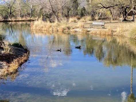 Agua Caliente Park Scott185 The Original Flickr